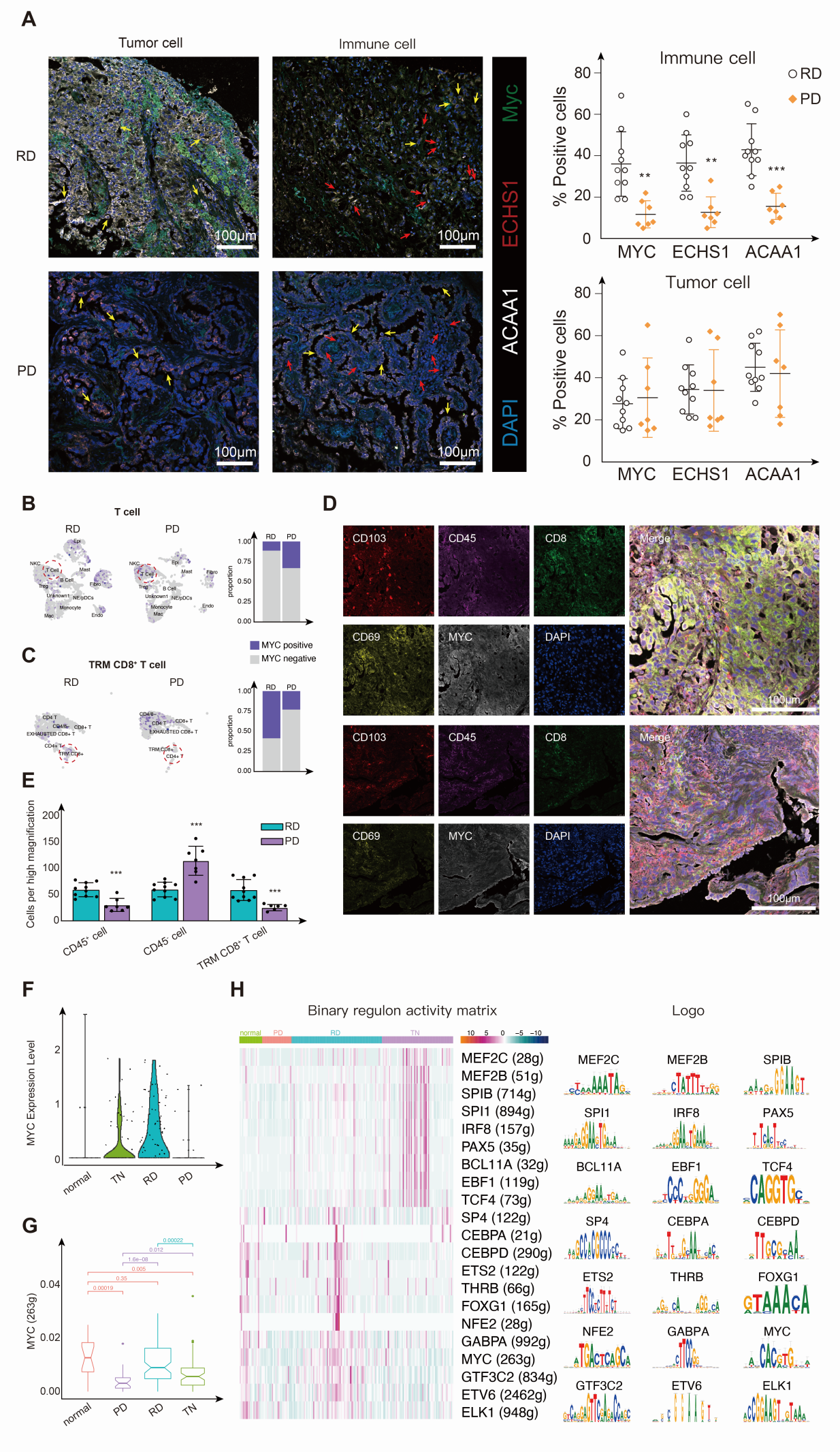 稿件学术诚信风险自查系统