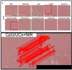Figcheck | 图片查重