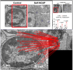 Figcheck | 图片查重